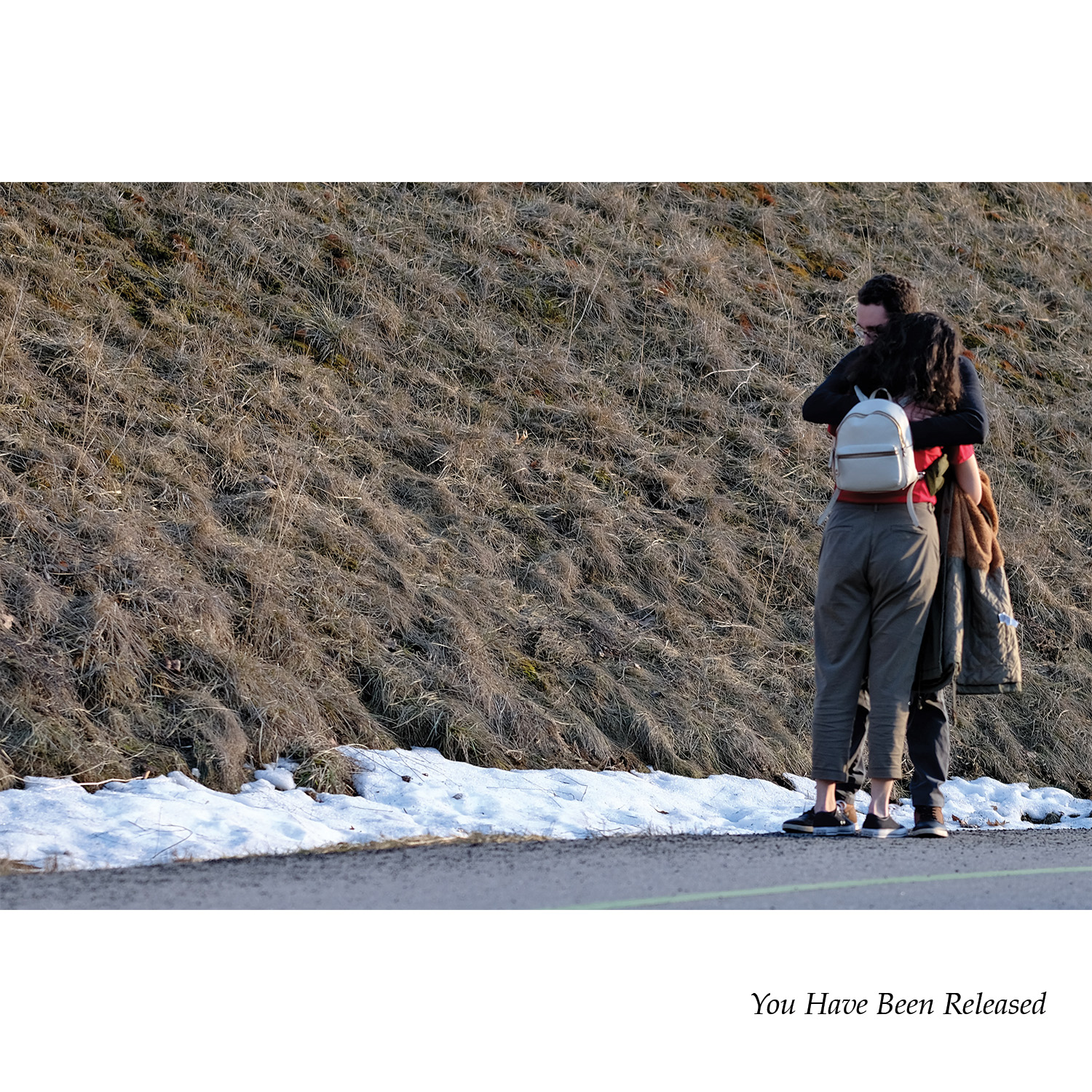 You Have Been Released – Furry Wrist Abroad