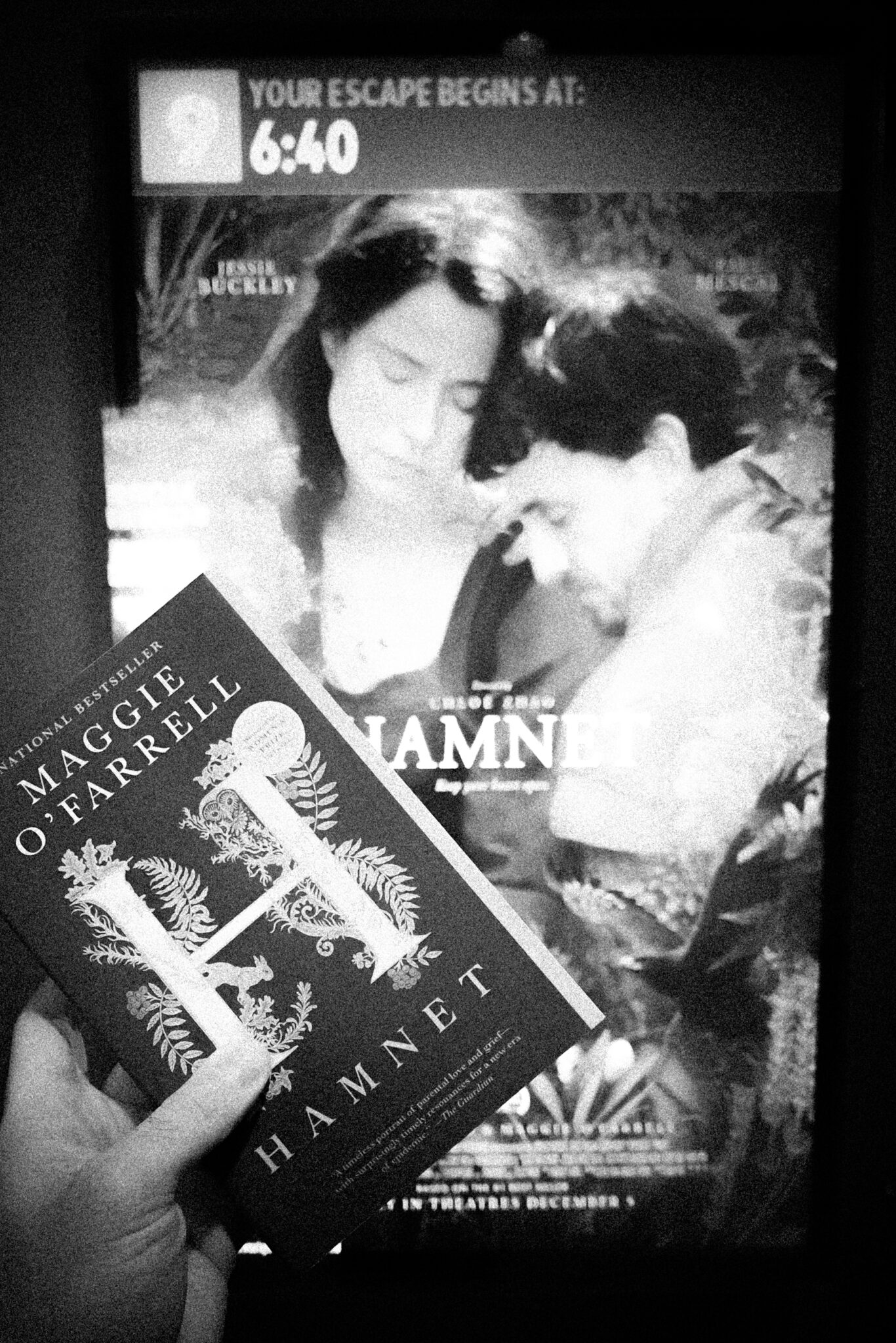 Hamnet: Book and Movie Review – Furry Wrist Abroad